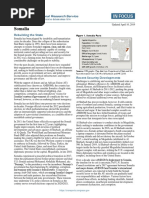 Somalia Vs Somaliland Detailed Progress | PDF | Somalia | Infrastructure