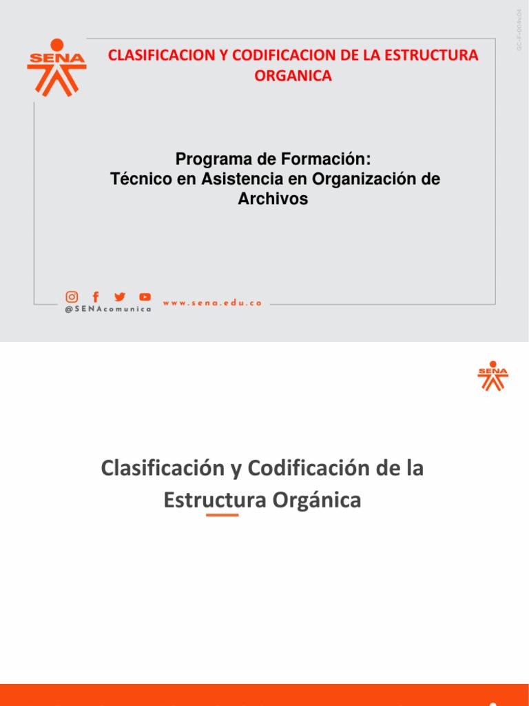 03 Sena-Codificacion Estructura Organica | PDF | Business