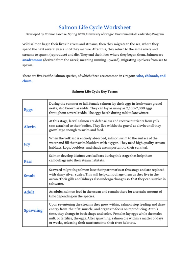 Salmon Life Cycle Worksheet: Anadromous | PDF | Spawn (Biology) | Salmon