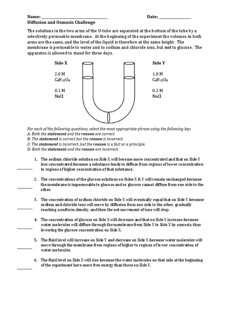Diffusion and Osmosis Challenge | PDF | Osmosis | Chemical Engineering