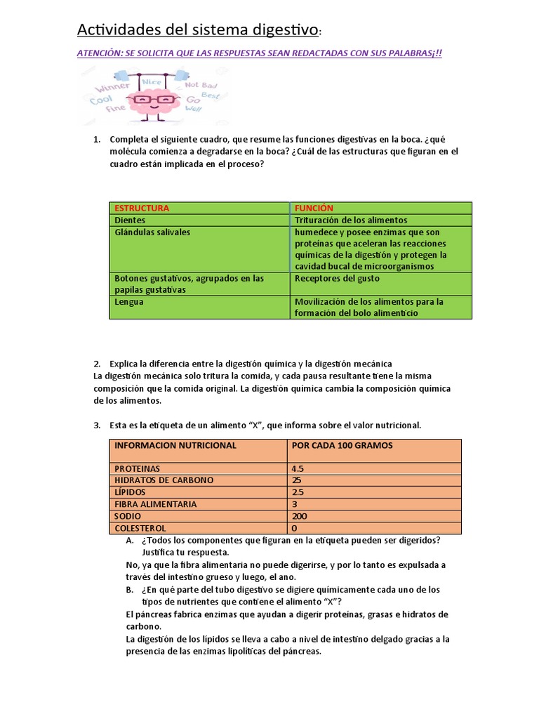 Actividades Del Sistema Digestivo | PDF | Digestión | Sistema digestivo ...