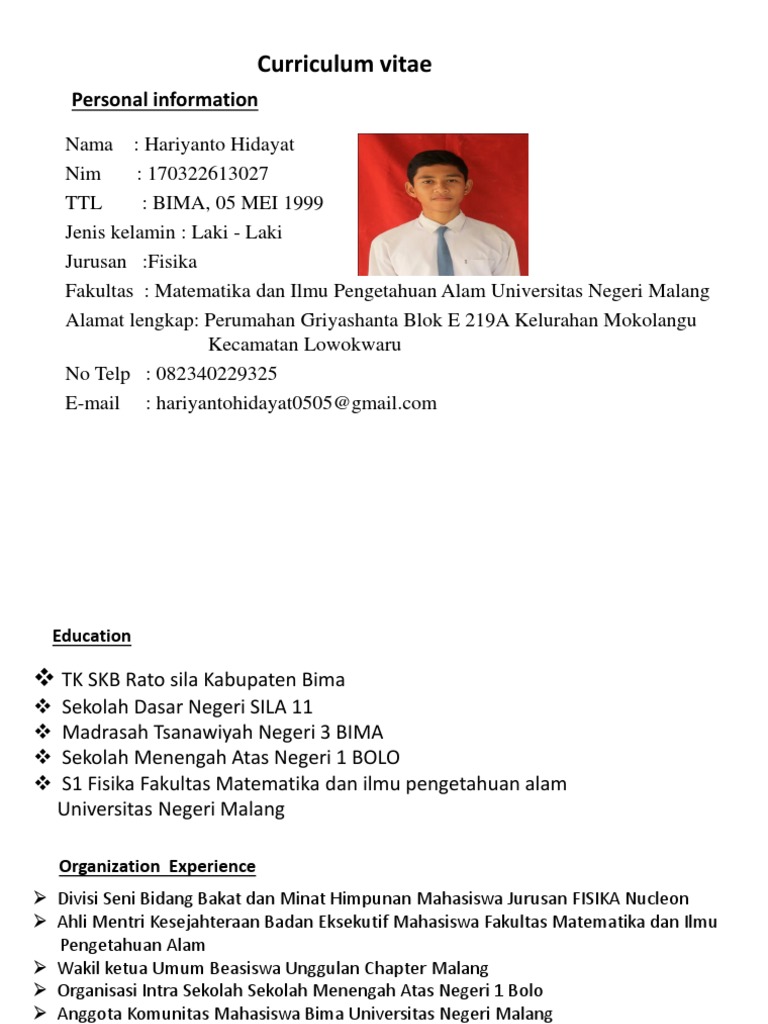 Curriculum Vitae (Hariyanto Hidayat) - Dikonversi PDF | PDF