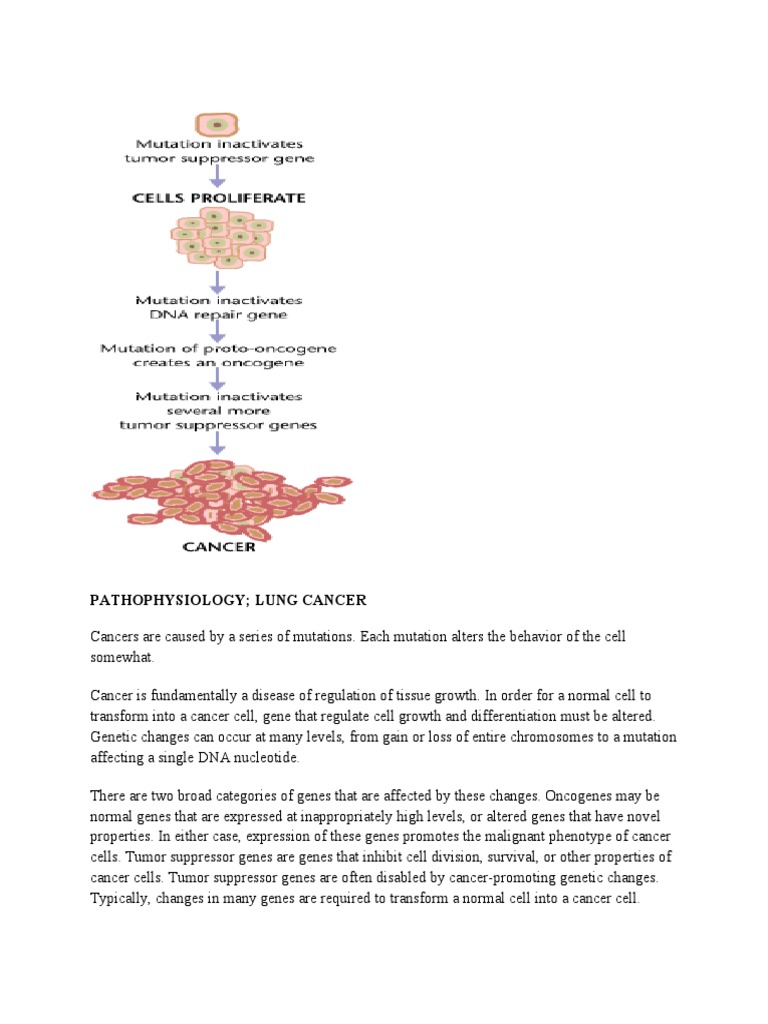 Pa Tho Physiology - Lung Cancer | PDF | Cancer | Mutation