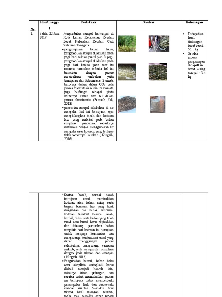 Logbook Penelitian Lidah Mertua | PDF