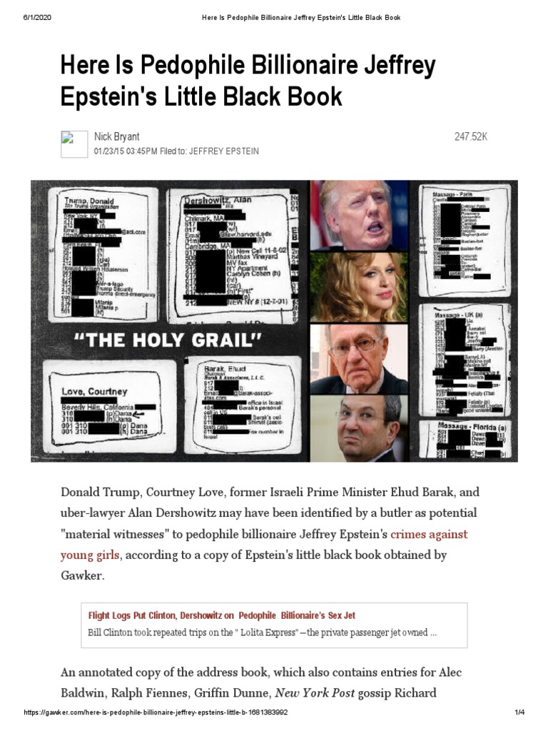Annotated List of Contacts Provides Insight into Jeffrey Epstein's ...