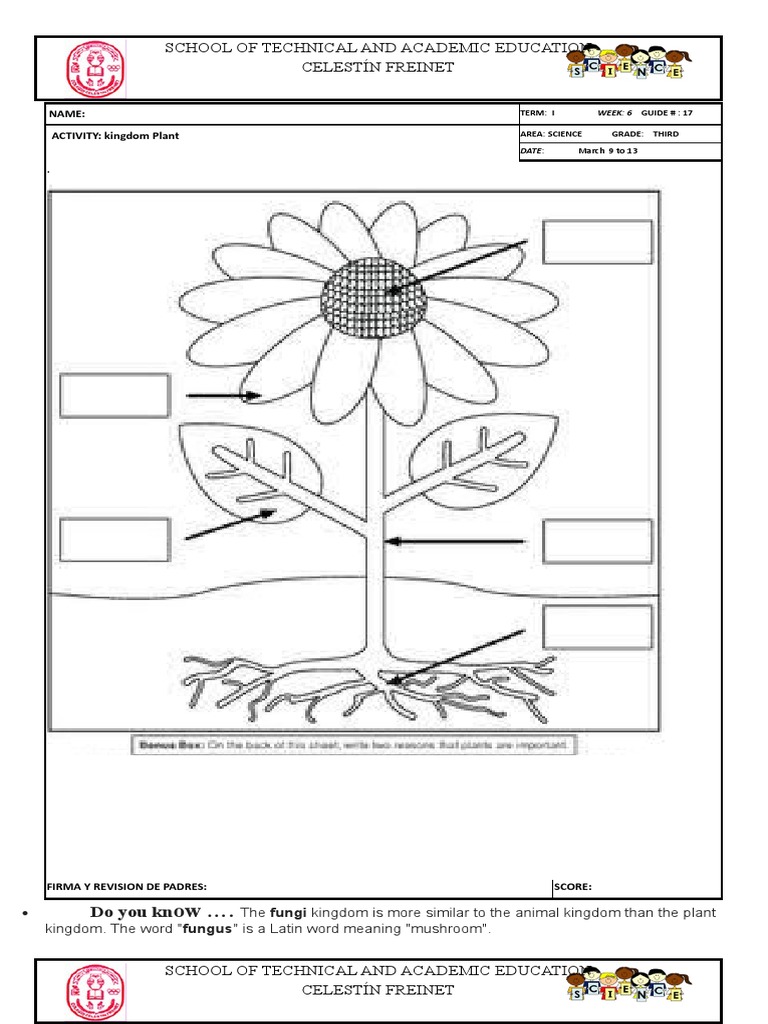 Week 6 Science 3° Guide 1-3 | PDF