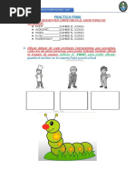 Región Maseterina | PDF | Salud y bienestar