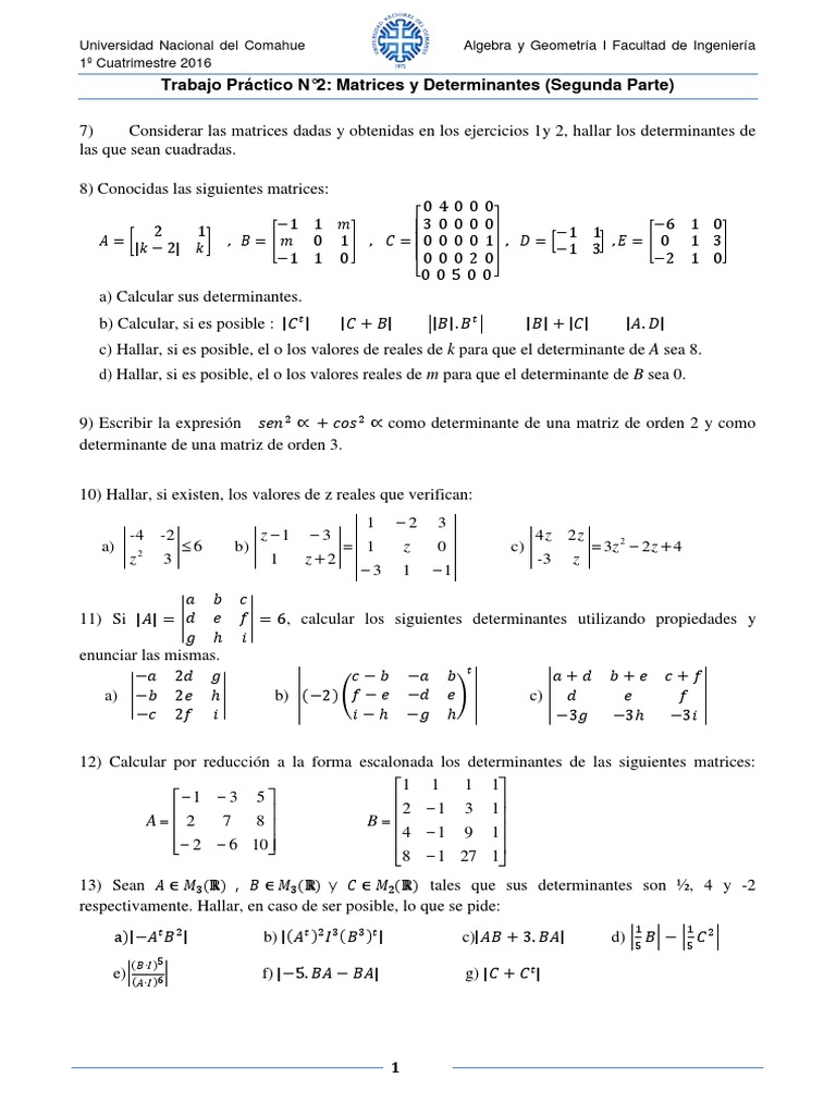 TP Matrices (Segunda Parte) Ejercicios | PDF | Determinante | Teoría de la matriz