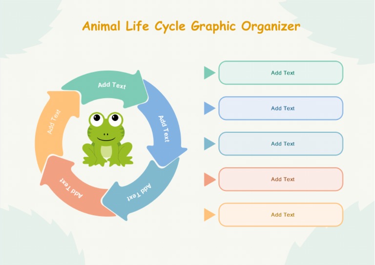 1234animal Life Cycle Graphic Organizer | PDF