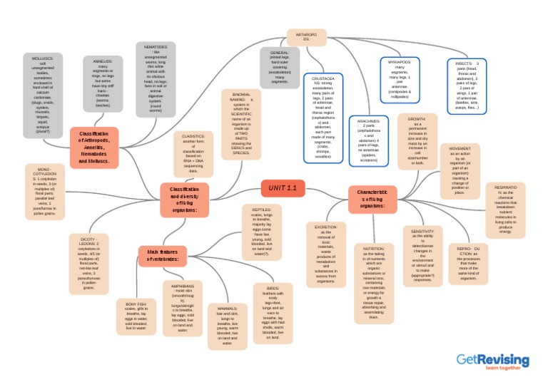 IGCSE BIOLOGY Classification and Characteristics | PDF | Skin | Lung