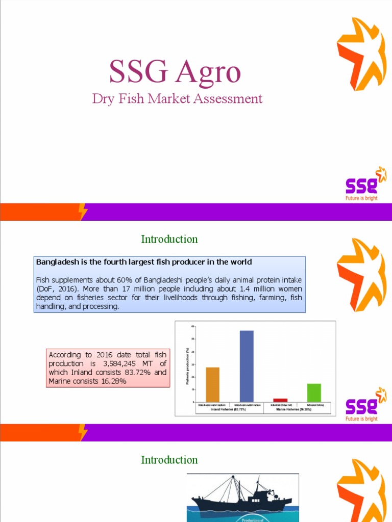 Dry Fish Presentation | PDF | Packaging And Labeling | Retail