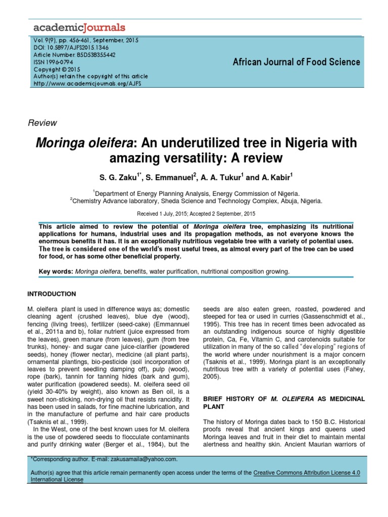 Moringa Oleifera: An Underutilized Tree in Nigeria With: Amazing ...