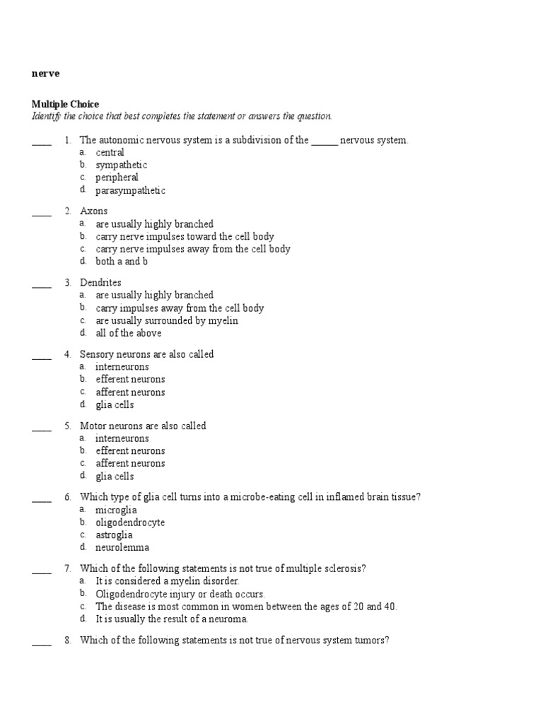 Nerveous Test | PDF | Neuron | Nervous System
