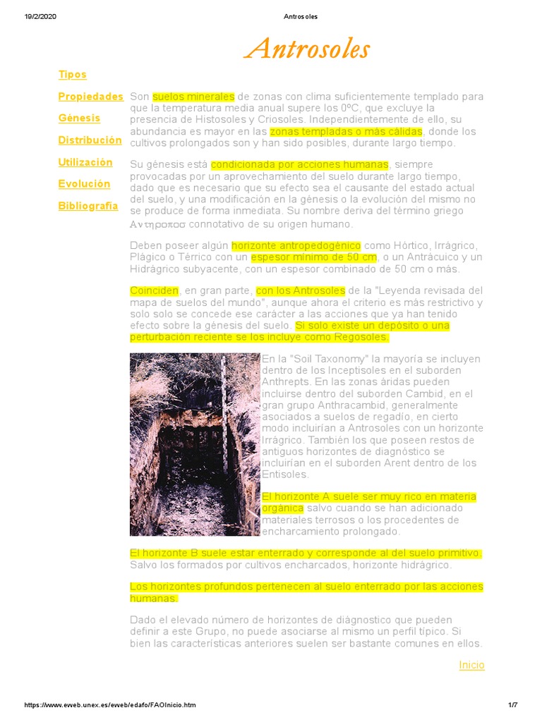 CS. Antrosoles PDF | PDF | Suelo | Ciencias de la Tierra