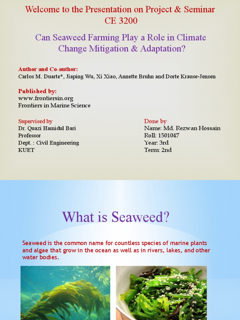 Can Seaweed Farming Play A Role in Climate Change Mitigation ...