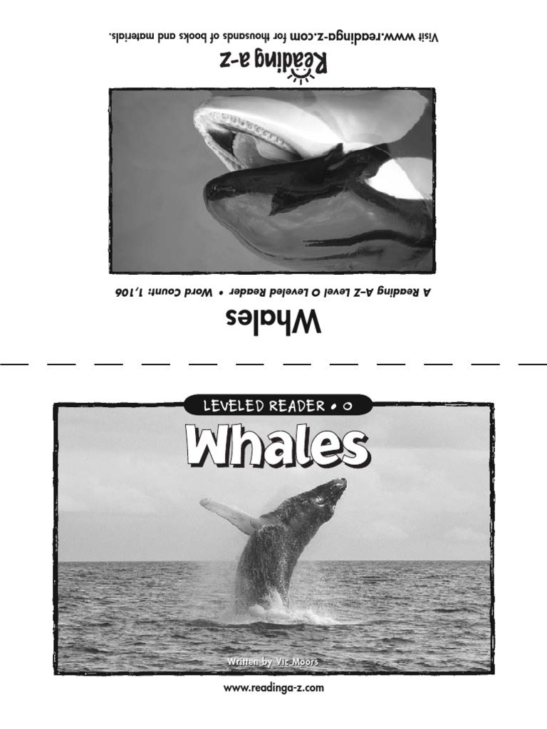 Whales - Reading Book For Children | PDF | Whales | Killer Whale