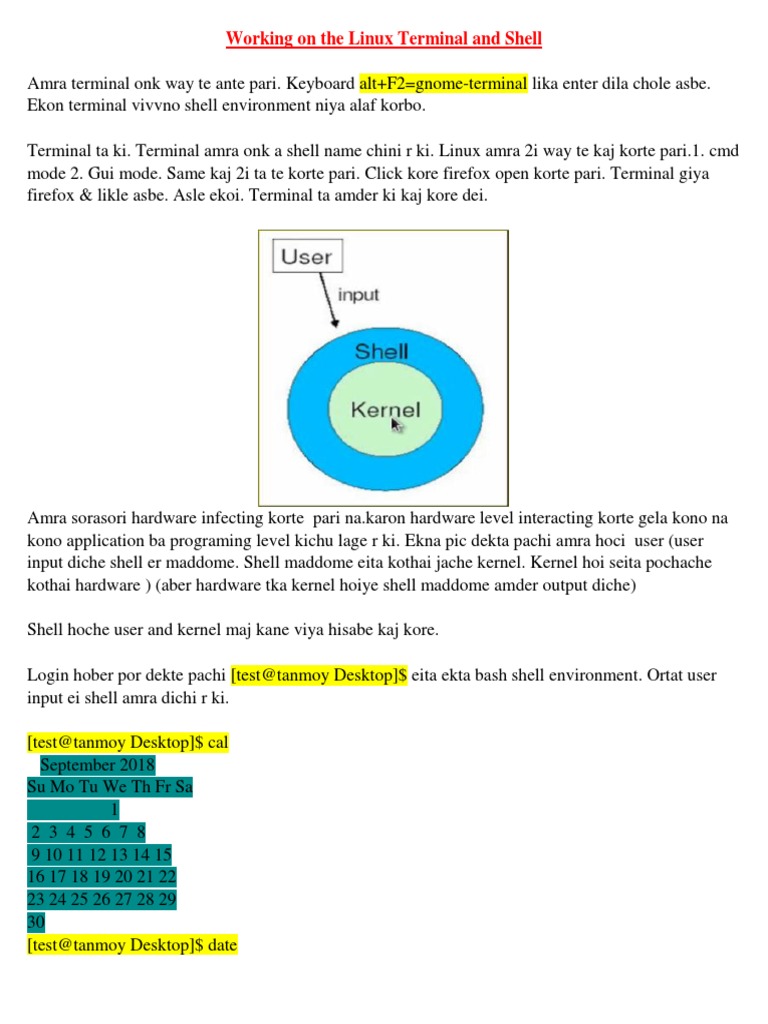 Working On The Linux Terminal and Shell | PDF | Shell (Computing) | Command Line Interface