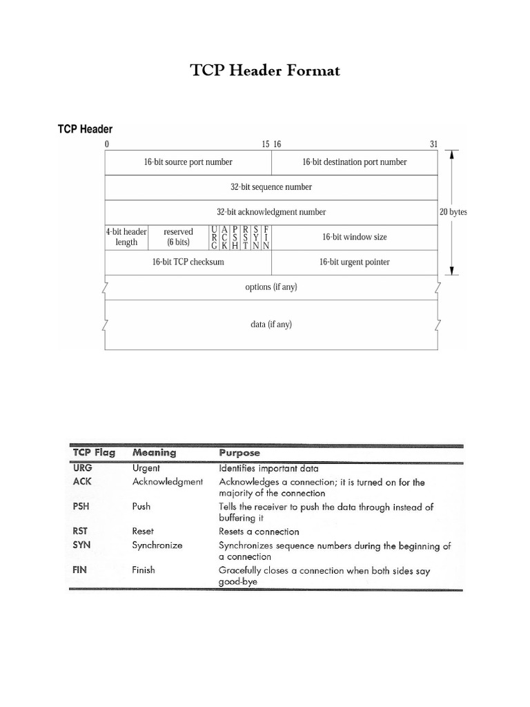 An In-Depth Explanation of the TCP Header Format | PDF | Transmission ... An In-Depth Explanation of the TCP Header Format | PDF | Transmission ...
