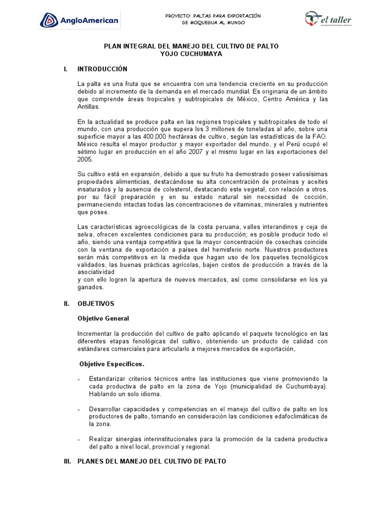 Plan Del Manejo Del Cultivo de Palto | PDF | Aguacate | Fertilizante
