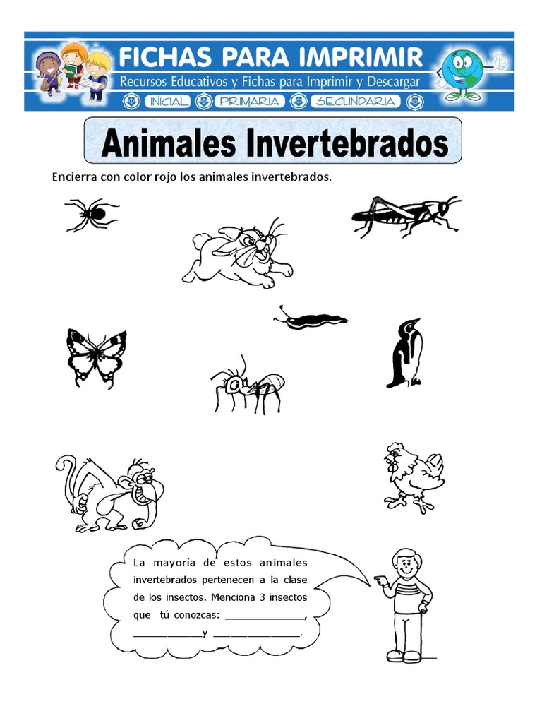 Fichas de Animales Invertebrados | PDF