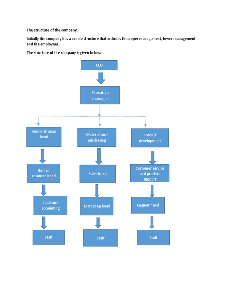 Company Staff Structure Overview | PDF