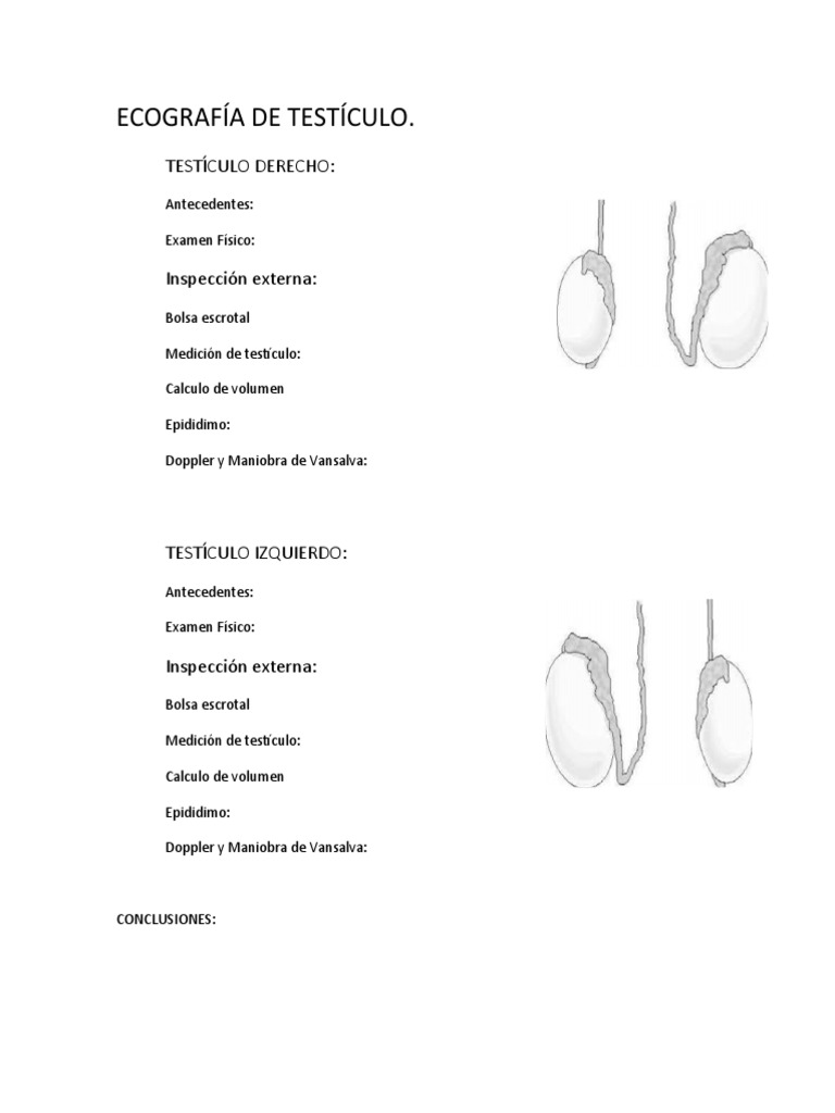 Informe Testiculo | PDF