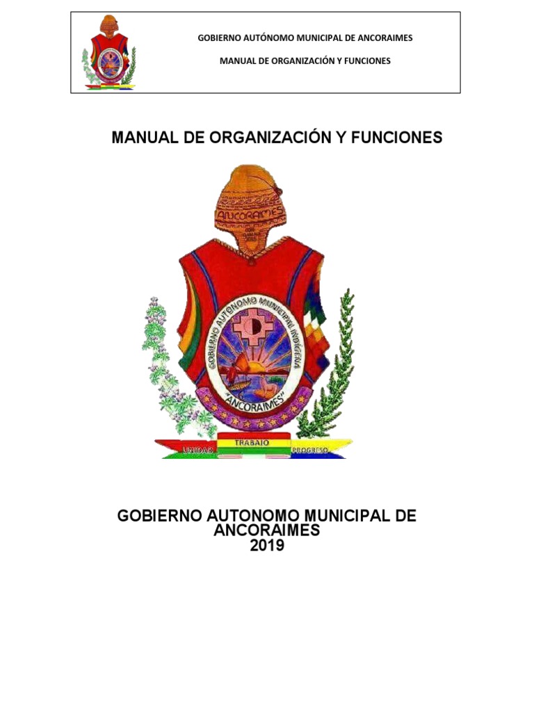 Manual de Organizacion y Funciones | PDF | Alcalde | Auditoría