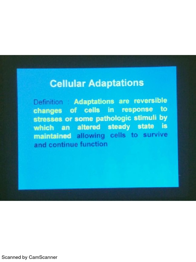 Cellular Adaptation | PDF