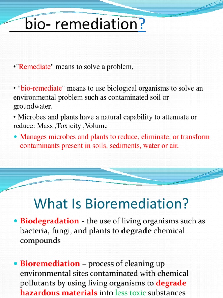 Bioremidiation | PDF | Environmental Remediation | Biodegradation