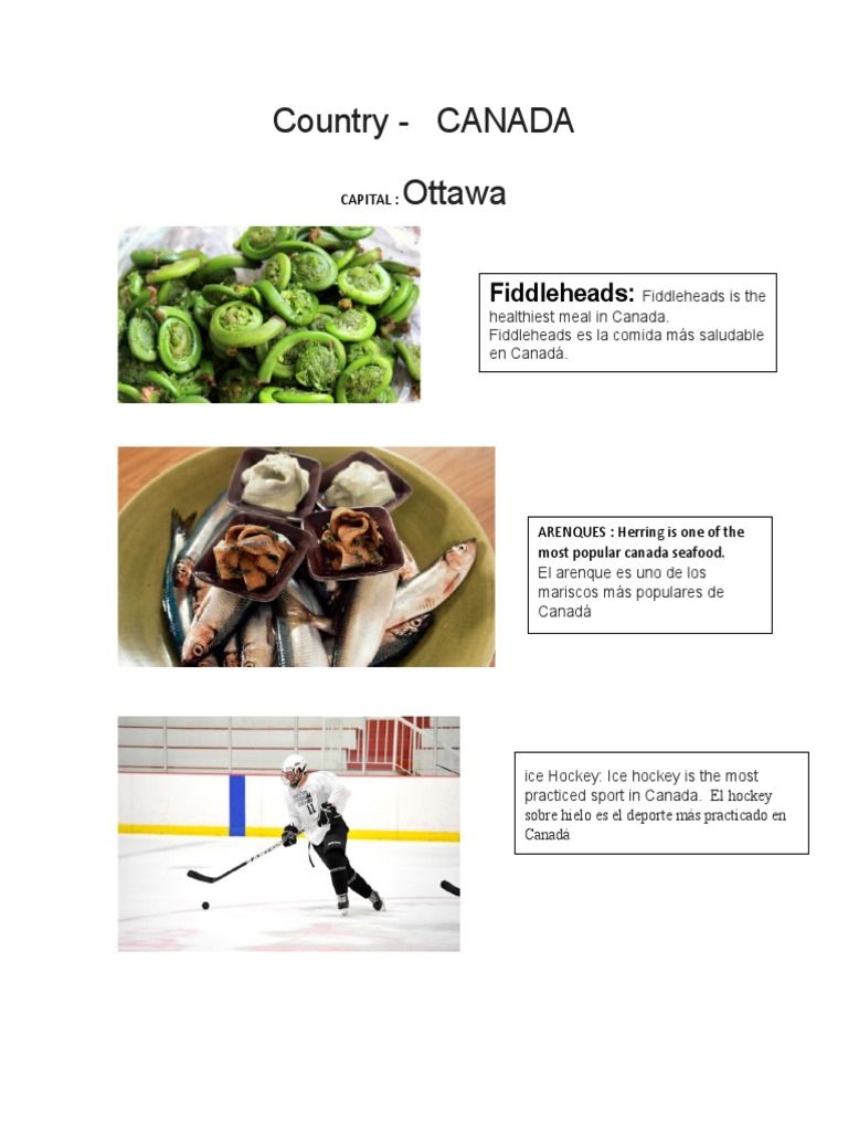 TRABAJO | PDF | Canadá | Ocio