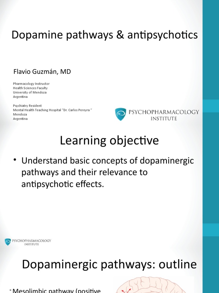 Dopamine Pathways | PDF
