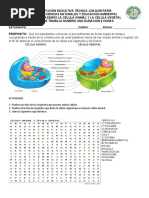 Sopa de Letras de Los Ecosistemas | PDF