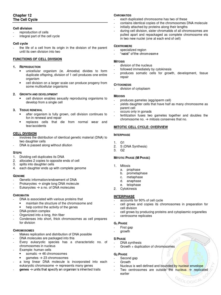Overview of the Cell Cycle | PDF | Mitosis | Cell Cycle