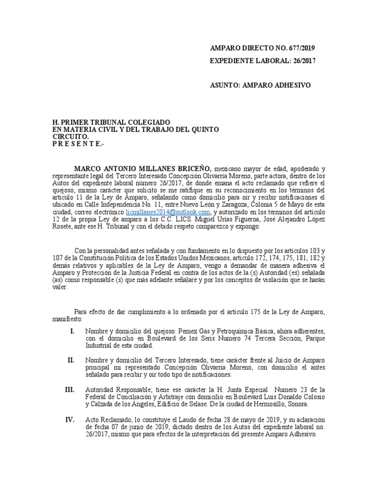Formato Amparo Adhesivo | PDF | Violación | Gobierno