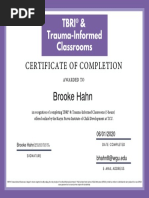 TBRI 101 Certificate of Completion Final | PDF