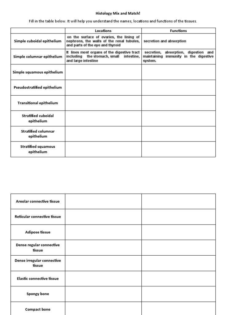 Histology Mix and Match Tissue Types & Functions | PDF