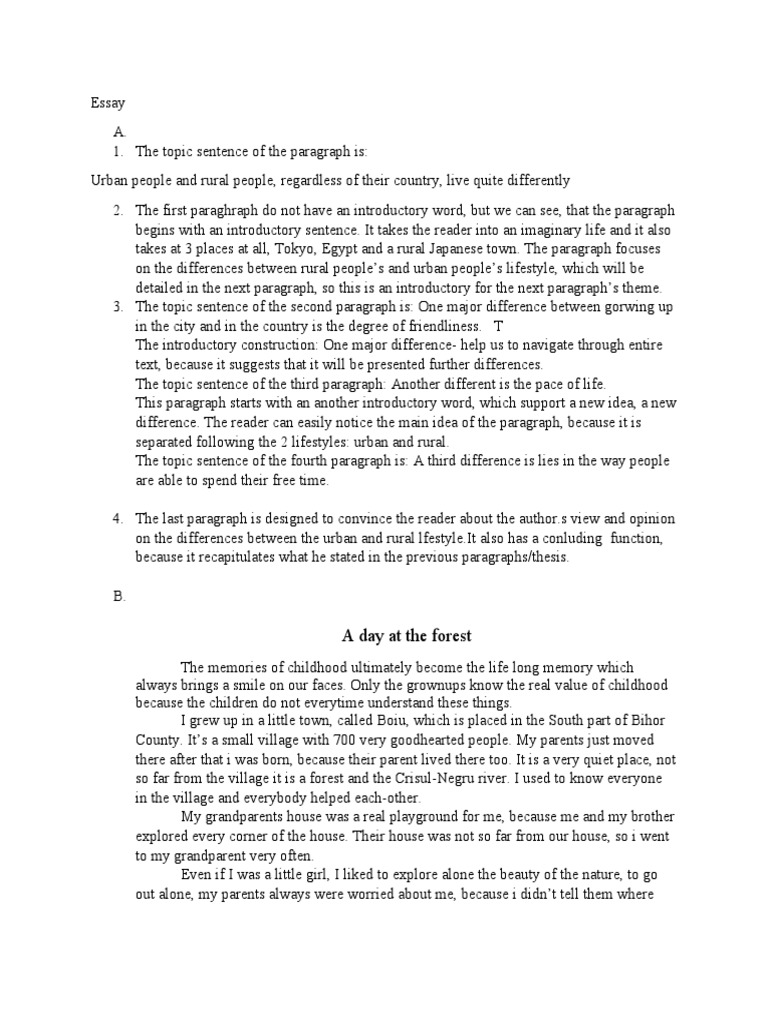 A Day at The Forest | PDF | Paragraph