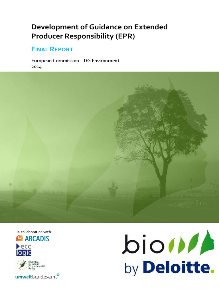 Guidance On EPR Final Report PDF | Download Free PDF | Recycling | Waste
