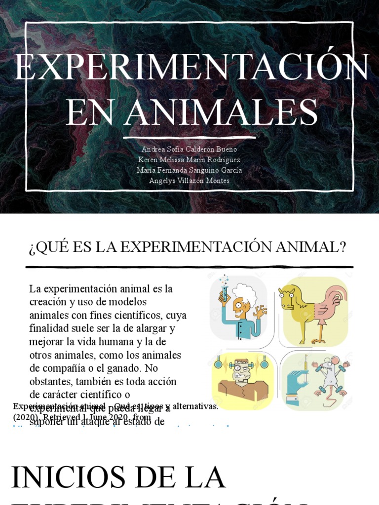 Experimentación Animal: Ética y Normativas | PDF | Pruebas en animales ...