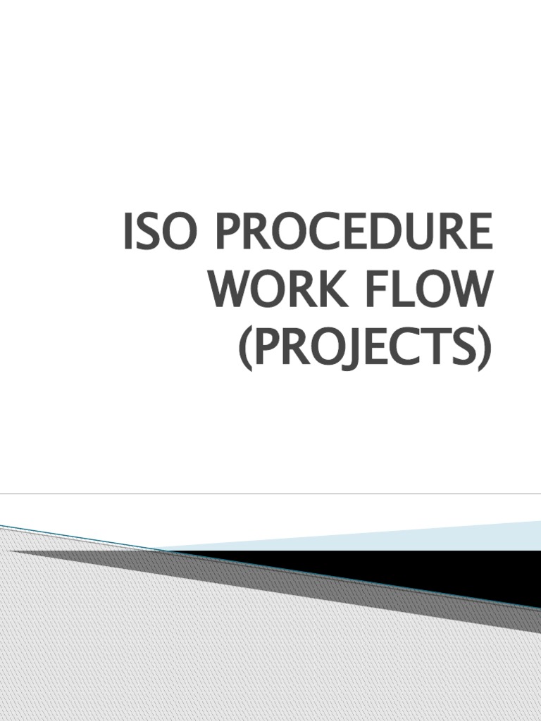 ISO Project Workflow Procedure Guide | PDF | Business