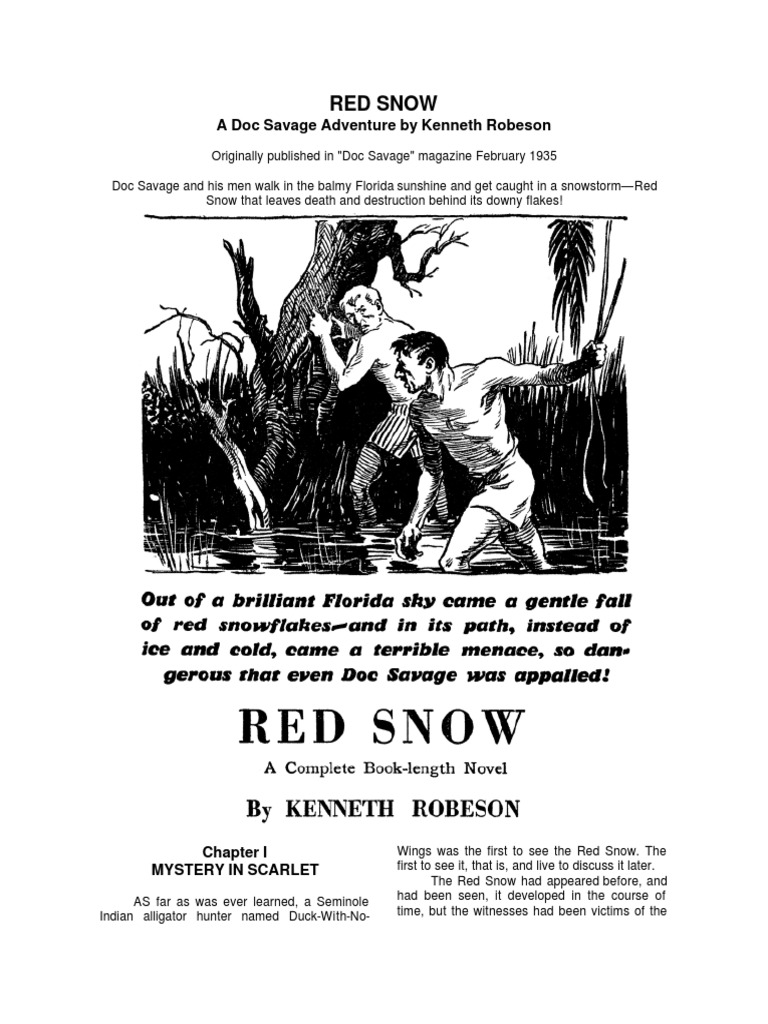 024 - Red Snow | PDF | Window | Nature