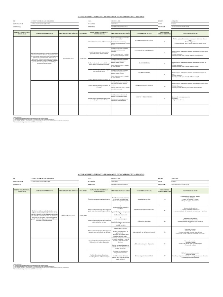 Formato MATRIZ DE PLANES DE ESTUDIO CETPRO - REGIONES | PDF | Presupuesto | Papel