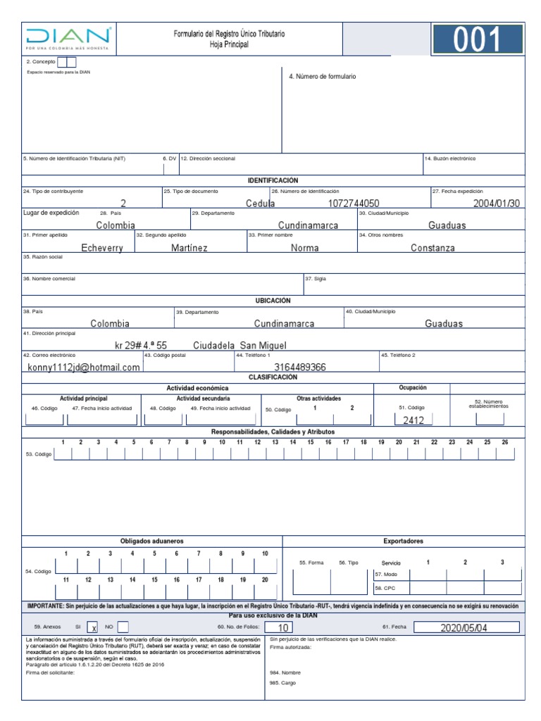 Rut 1 4 0-Lleno | PDF | Conceptos legales | Información del gobierno
