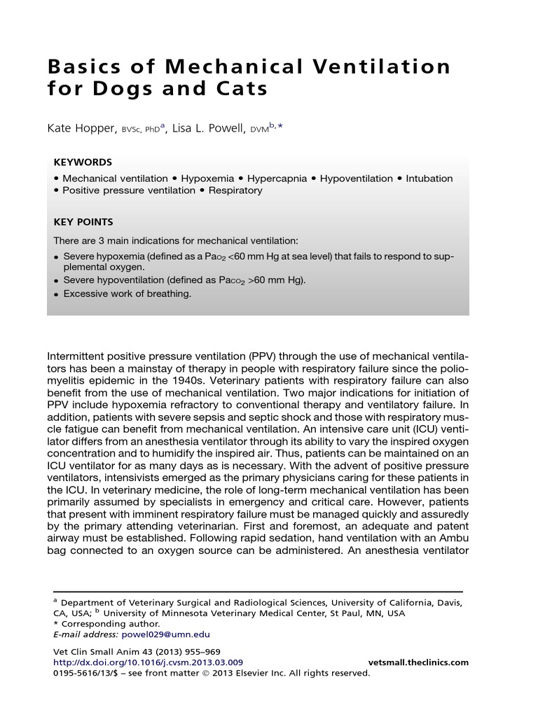 Basics of Mechanical Ventilation For Dogs and Cats PDF | PDF ...
