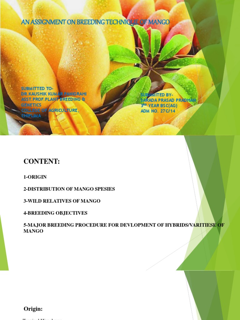 An Assignment On Breeding Technique of Mango | PDF | Mango | Plant ...