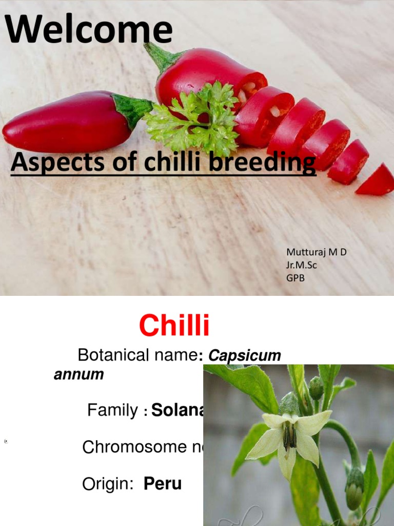 Welcome: Aspects of Chilli Breeding | PDF | Chili Pepper | Capsicum