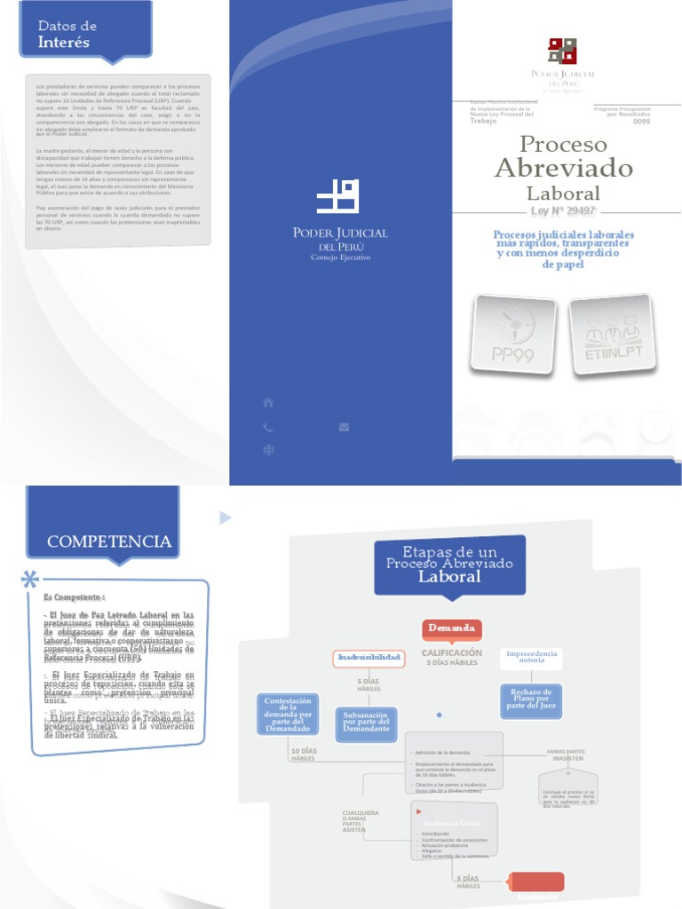 Triptico Proceso Abreviado Laboral | PDF | Demanda judicial | Ley procesal