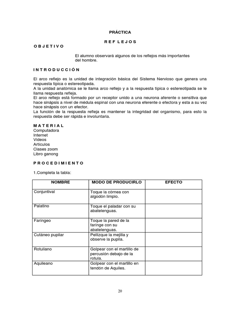 Reflejos importantes del cuerpo humano | PDF | Sistema nervioso ...