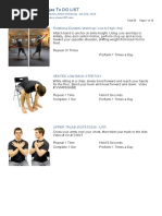 McGill's Core Exercises Guide | PDF | Musculoskeletal System