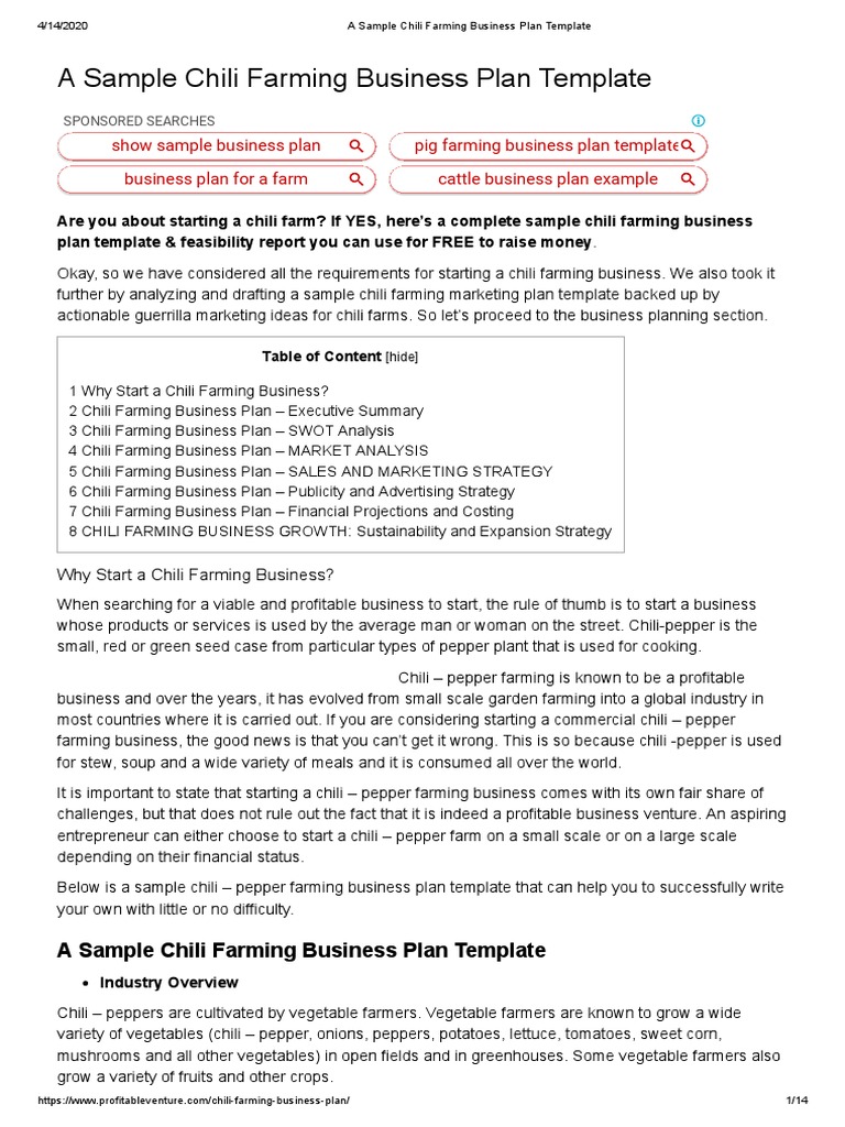A Sample Chili Farming Business Plan Template | PDF